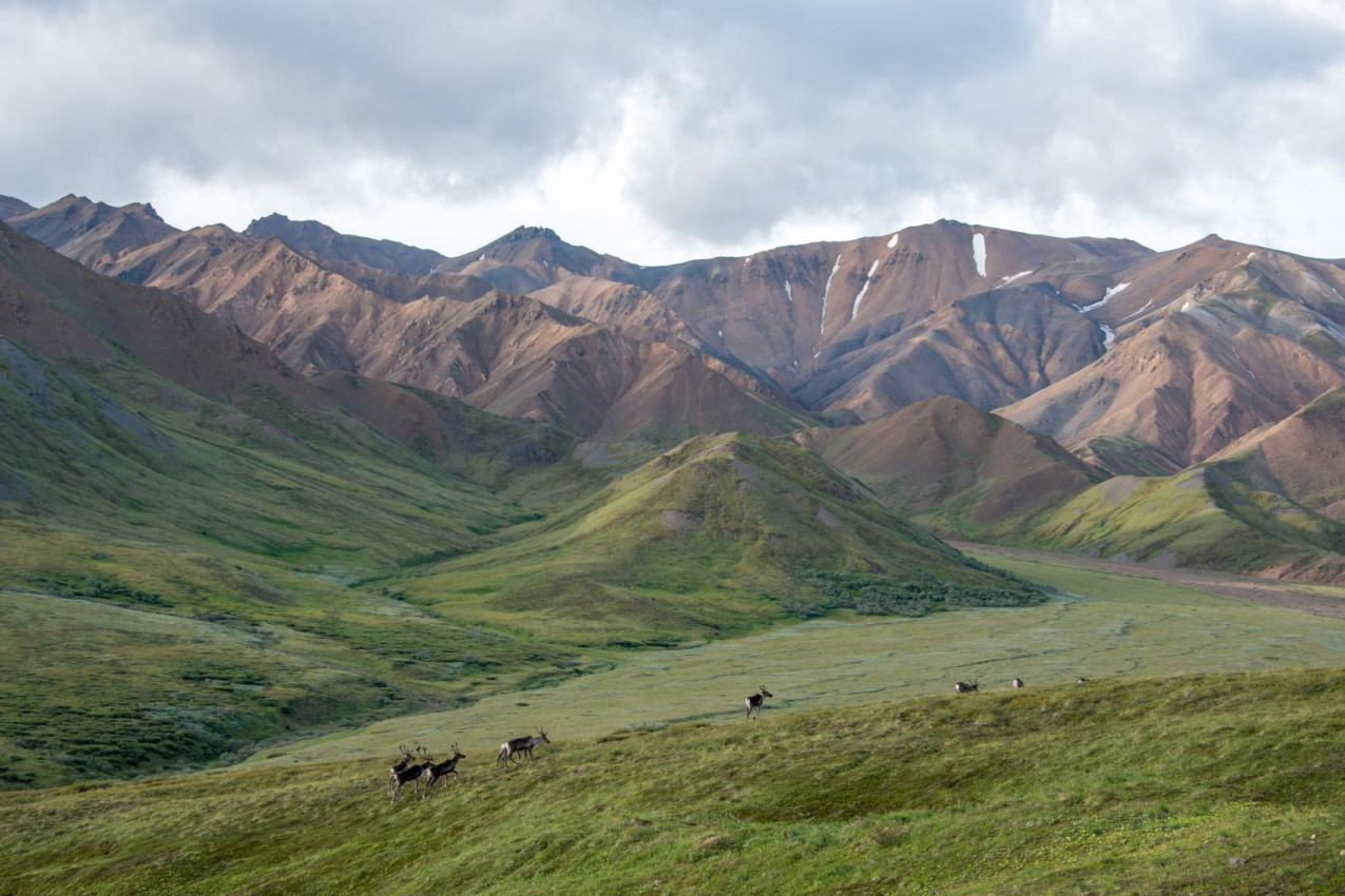 Viagem e Roteiro para Alaska