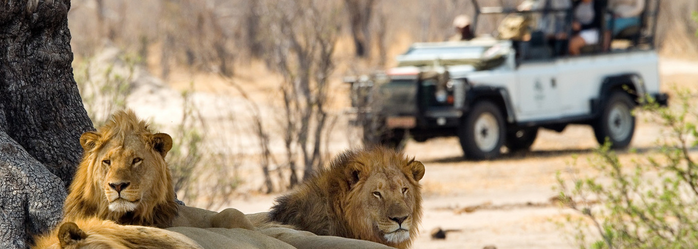Viagem para Zimbabwe | Agência Travel Class